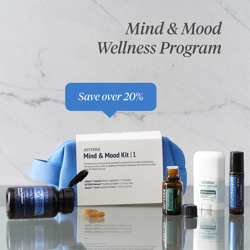 mind and mood wellness program | Renewal Fit Coach