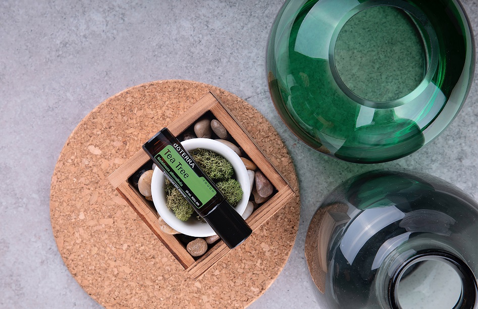 How to Use Essential Oils for Beginners | Renewal Fit Coach